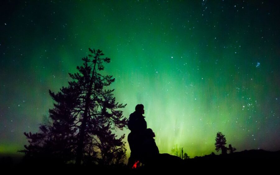 Rovaniemi: Guided Northern Lights Tour - Authenticity and Real Experiences from Travelers