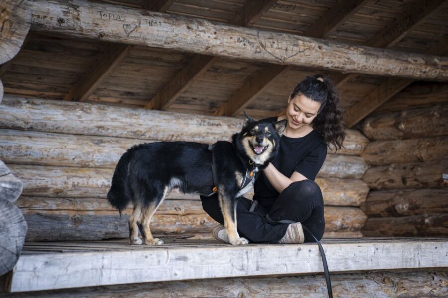 Rovaniemi: Hiking Experience with Lappish Dogs - Final Thoughts: Who Should Consider This Tour?