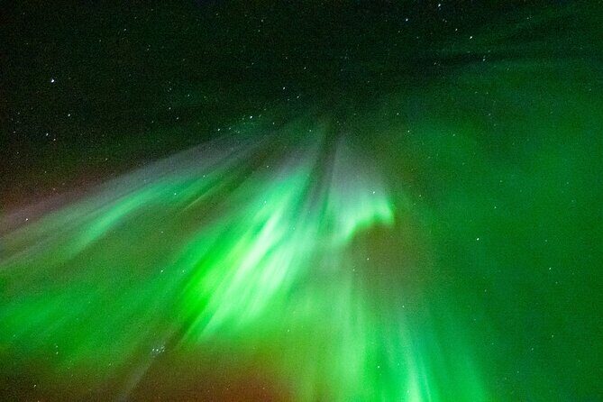 Rovaniemi Hunting Aurora at the Best Spots - Who Will Love This Tour?
