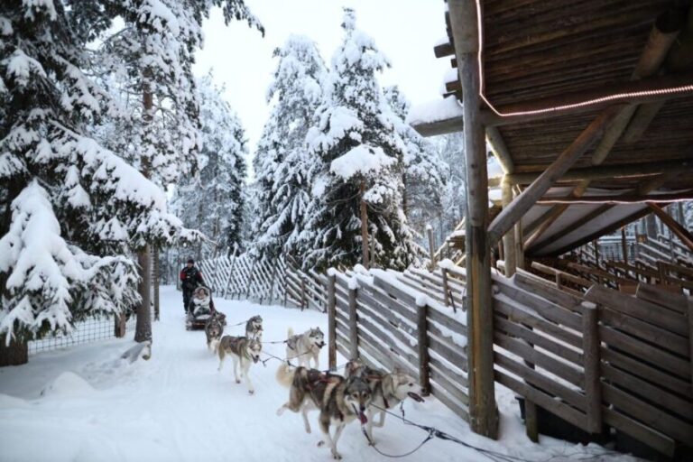 Rovaniemi: Husky and reindeer farm visit with sleigh rides - Who Will Love This Experience?