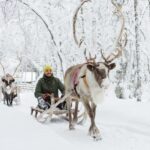 Rovaniemi: Husky and Reindeer farm with sleigh ride - The Reindeer Experience and Sámi Culture