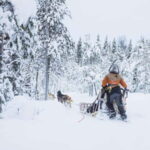 Rovaniemi: Husky & Reindeer Experience with Snowmobile Ride - The Value and Real-World Insights