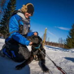 Rovaniemi: Husky Safari & Campfire BBQ  610 km SelfDrive - The Practicalities: What’s Included & What to Bring
