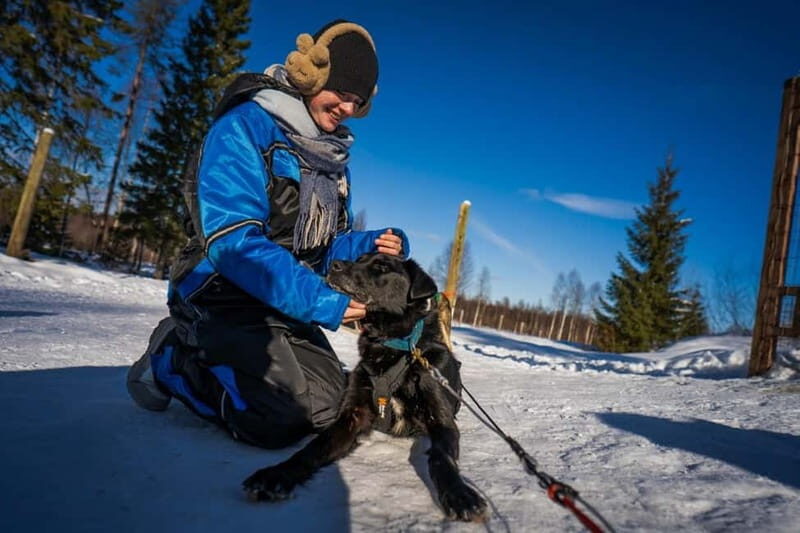 Rovaniemi: Husky Safari & Campfire BBQ  610 km SelfDrive - The Practicalities: What’s Included & What to Bring