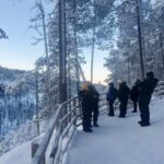 Rovaniemi: Korouoma Canyon Frozen Waterfalls Day Trip - What to Expect on This Arctic Day Out