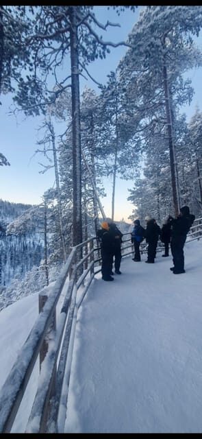 Rovaniemi: Korouoma Canyon Frozen Waterfalls Day Trip - What to Expect on This Arctic Day Out