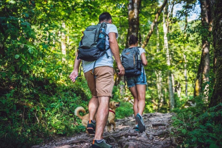 Rovaniemi: Magical Forest Hiking Adventure Tour & BBQ - The Outdoor BBQ: A Perfect End to Your Adventure