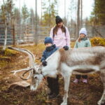 Rovaniemi: Meet Santa Claus and His Friends - Who Should Consider This Tour?