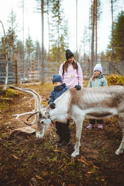 Rovaniemi: Meet Santa Claus and His Friends - Who Should Consider This Tour?