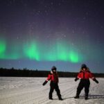 Rovaniemi: Northern Lights Sleigh Ride - Is This Tour Worth It?