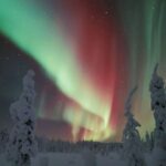 Rovaniemi: Northern Lights Snowmobile Safari with Campfire - The Itinerary in Detail