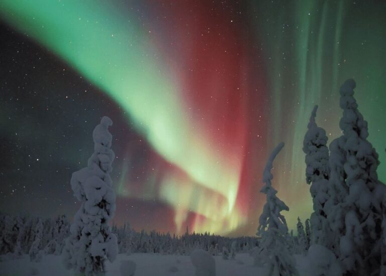 Rovaniemi: Northern Lights Snowmobile Safari with Campfire - The Itinerary in Detail
