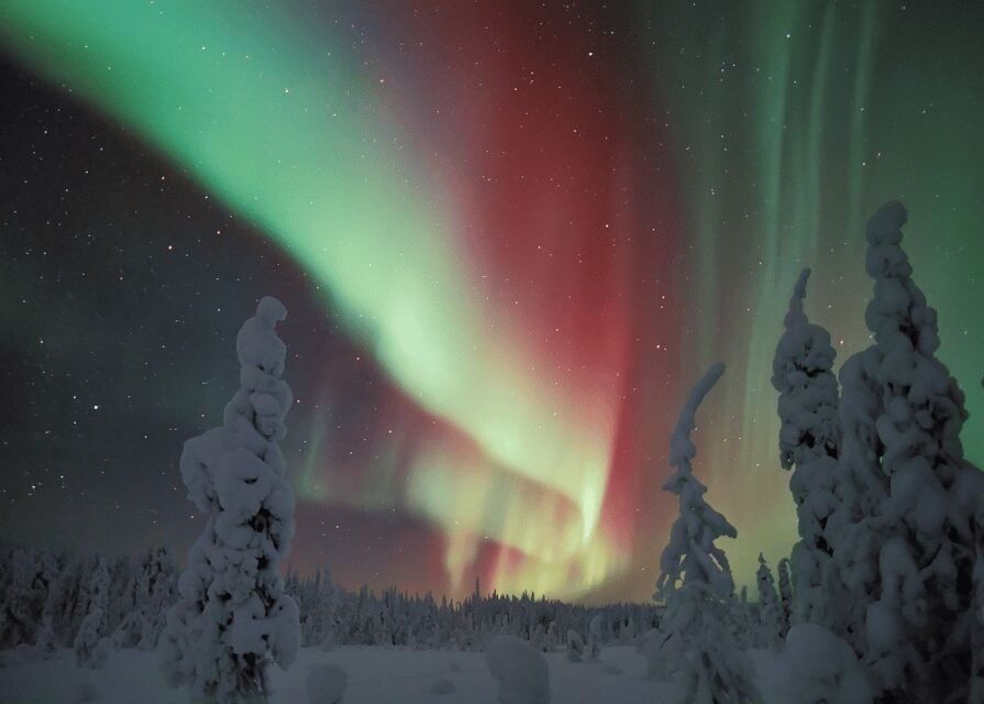 Rovaniemi: Northern Lights Snowmobile Safari with Campfire - The Itinerary in Detail