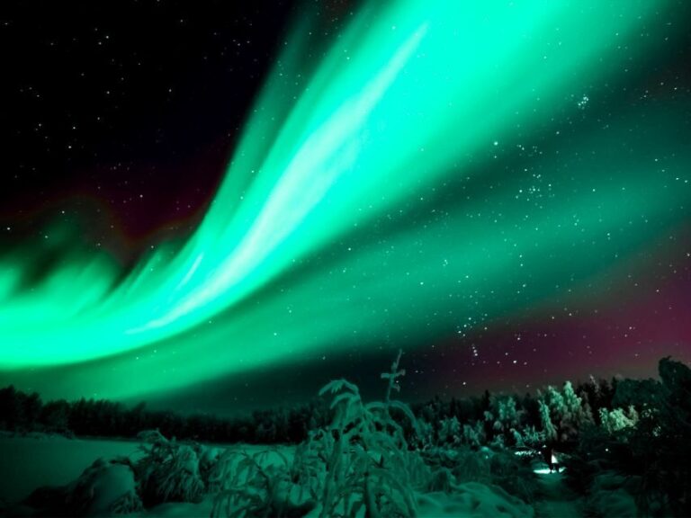 Rovaniemi: Private Tour with Guaranteed Northern Lights - What to Expect on the Night