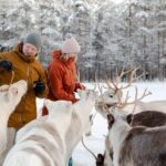 Rovaniemi: Reindeer Farm Visit and Sleigh Ride with transfer - How This Tour Fits into Your Rovaniemi Visit