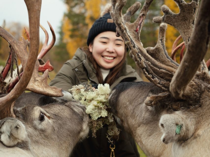 Rovaniemi: Reindeer Farm Visit with Photographer - Final Thoughts