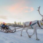 Rovaniemi: Reindeer Ride to Santa through the Magic Forest - FAQ