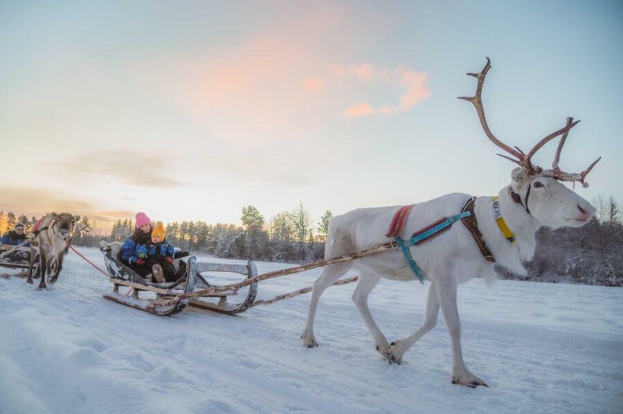 Rovaniemi: Reindeer Ride to Santa through the Magic Forest - FAQ