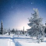 Rovaniemi: Riisitunturi Full-Day Wilderness Adventure & BBQ - What To Expect in Terms of Transportation & Group Size