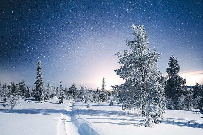 Rovaniemi: Riisitunturi Full-Day Wilderness Adventure & BBQ - What To Expect in Terms of Transportation & Group Size