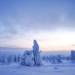 Rovaniemi: Riisitunturi National Park Day Trip with Lunch - Hike and Snowshoeing in the Park