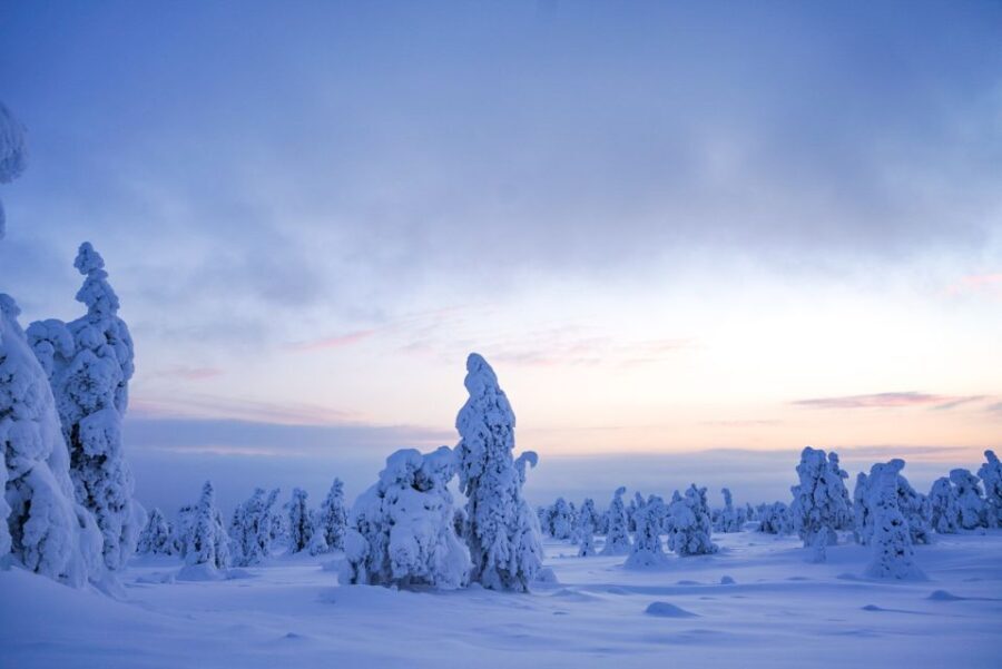 Rovaniemi: Riisitunturi National Park Day Trip with Lunch - Hike and Snowshoeing in the Park