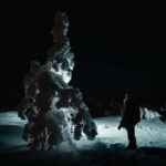 Rovaniemi: Riisitunturi National Park Night Photography Tour - Setting the Scene: A Night in Riisitunturi National Park