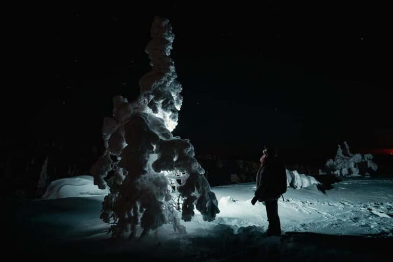 Rovaniemi: Riisitunturi National Park Night Photography Tour - Setting the Scene: A Night in Riisitunturi National Park