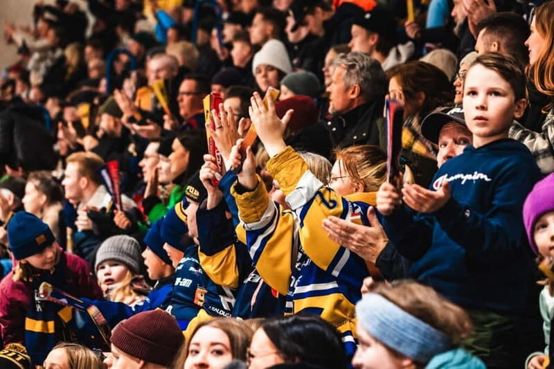Rovaniemi: RoKi Hockey Ice Hockey Tickets - Who Should Consider This Experience?
