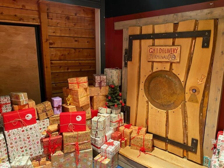 Rovaniemi: Santa Claus Village and Husky sledge/guided tour - Final Thoughts