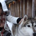 Rovaniemi: Santa Claus Village Tour Huskies & Reindeer Visit - Who Will Love This Tour?