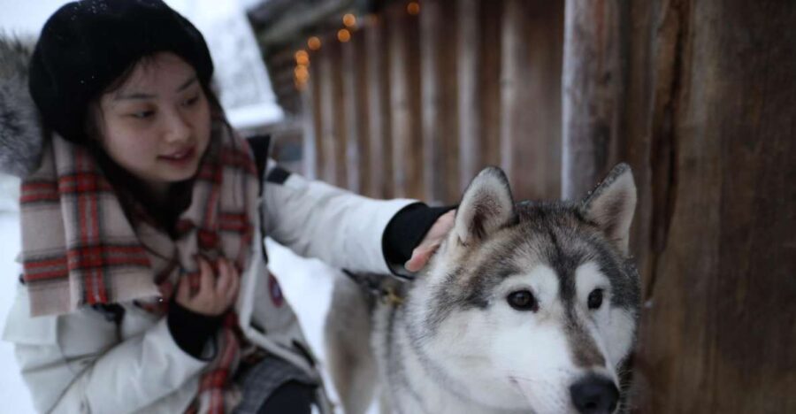 Rovaniemi: Santa Claus Village Tour Huskies & Reindeer Visit - Who Will Love This Tour?