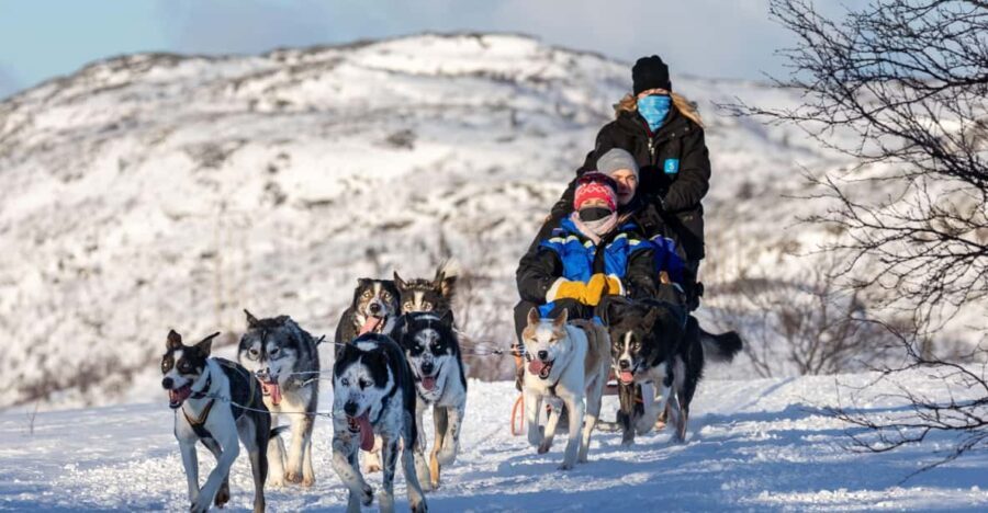 Rovaniemi: Santa's Village, Husky, & Reindeer Sled Ride - A Deep Dive into the Itinerary