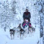 Rovaniemi: Self-Drive Husky Sleigh Ride Adventure - Meeting the Huskies and Learning the Ropes