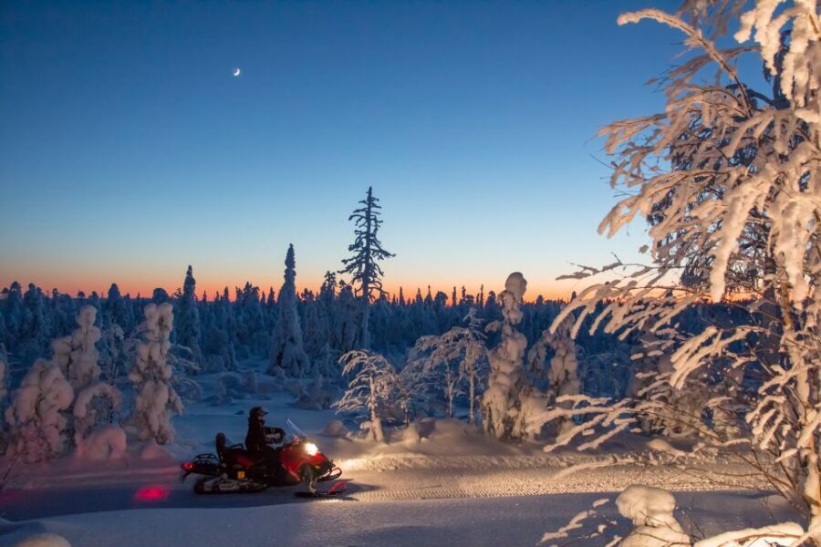 Rovaniemi: Snowmobile Safari & Campfire Evening Escape - The Itinerary: What to Expect from Start to Finish