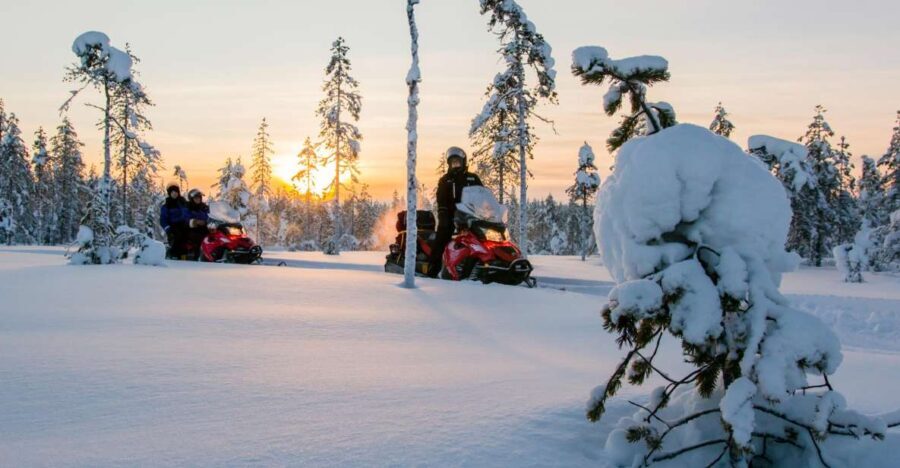 Rovaniemi: Snowmobile Safari to a Reindeer Farm - The Practical Details: What You Need to Know