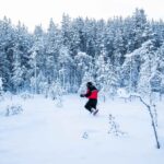 Rovaniemi: Snowshoe Wilderness Adventure - An In-Depth Look at What the Experience Offers