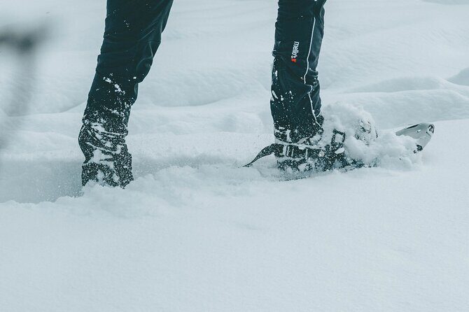 Rovaniemi: Snowshoeing in a magical snowy forest - Why Snowshoeing Matters — Connecting with Finnish Nature