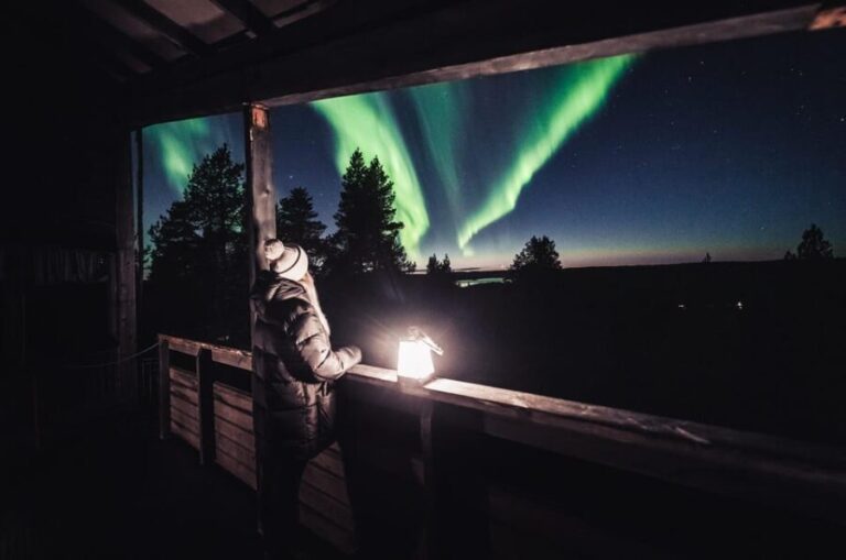 Rovaniemi: Snowy Forest Night Hike with Northern Lights - Who Should Consider This Tour?