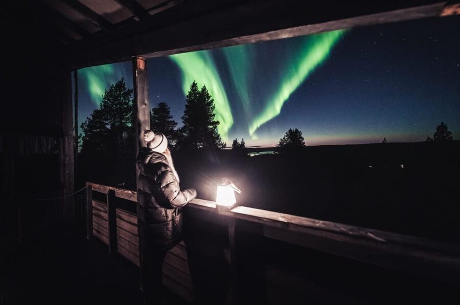 Rovaniemi: Snowy Forest Night Hike with Northern Lights - Who Should Consider This Tour?