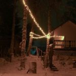 Rovaniemi: Traditional Sauna and Ice Swimming Experience - Introduction: A Genuine Arctic Ritual