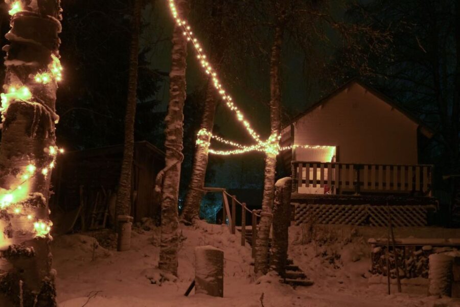 Rovaniemi: Traditional Sauna and Ice Swimming Experience - Introduction: A Genuine Arctic Ritual