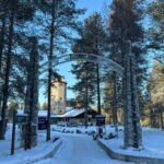 Rovaniemi: trip to the Ranua Zoo (transportation, tickets) - A Close Look at the Tour
