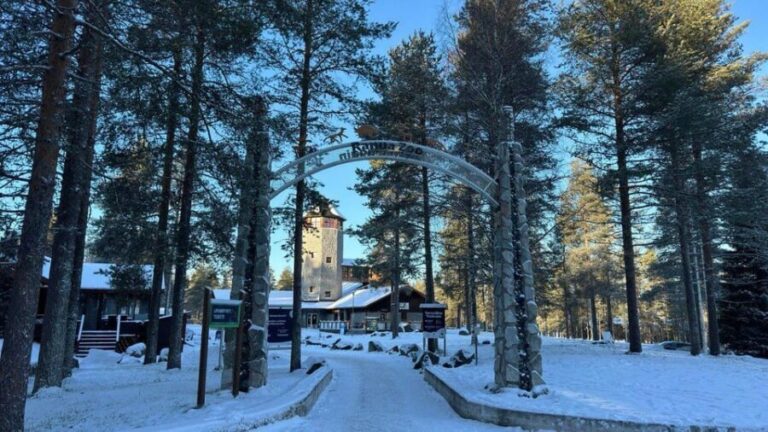 Rovaniemi: trip to the Ranua Zoo (transportation, tickets) - A Close Look at the Tour