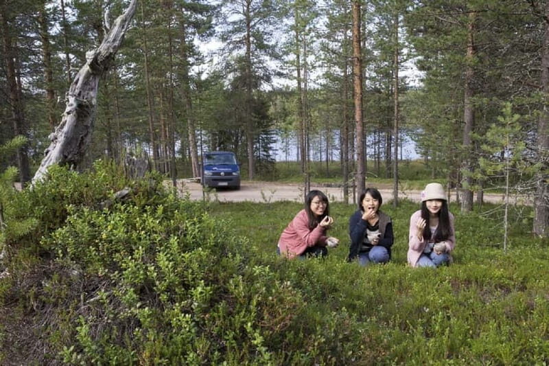 Rovaniemi: Wild Berry Picking and Juice Making - What You Can Expect on the Tour