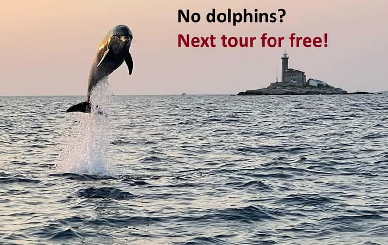 Rovinj: Dolphin Watching Sunset Speedboat Tour with Drinks - A Close Look at the Rovinj Dolphin Watching Sunset Speedboat Tour