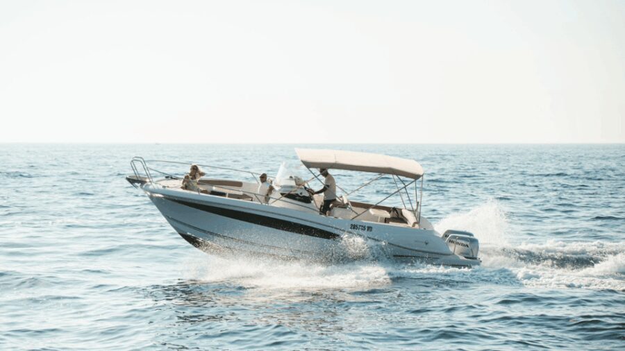 Rovinj: Family Friendly Dolphin Watching Tour - Who Will Enjoy This Tour?