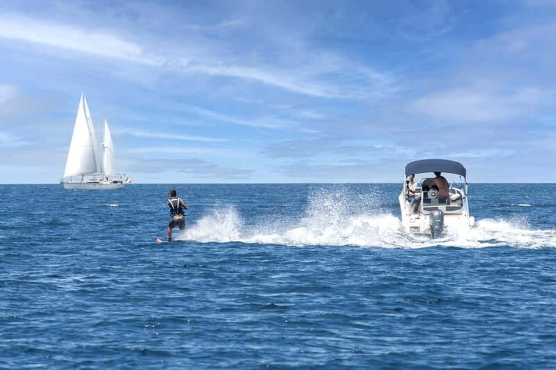 Rovinj or Vrsar: Rovinj Islands and Lim Fjord Speedboat Tour - Authentic Feedback from Past Travelers