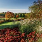 Royal Horticultural Society: Hyde Hall Garden Ticket - A Detailed Look at Hyde Hall Gardens