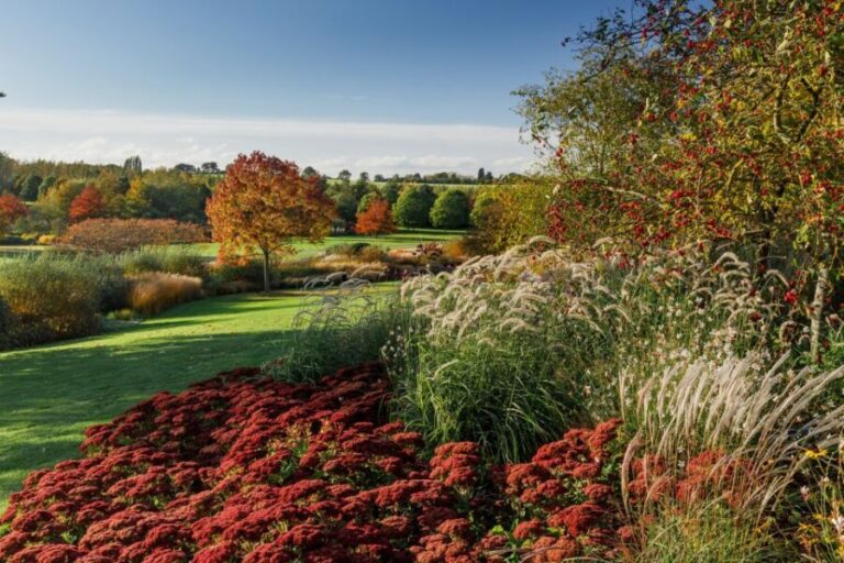 Royal Horticultural Society: Hyde Hall Garden Ticket - A Detailed Look at Hyde Hall Gardens